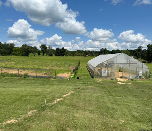 The Imagine Center Farm – The Imagine Center